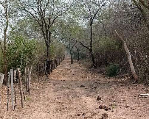 Venta 1050 Has. Ibarreta. Formosa - u$s 400 / ha - Agroads