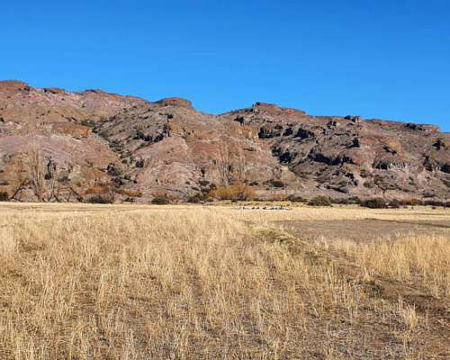 Gastre - 16.500 Ha - Chubut. 16500 hectáreas. - Agroads