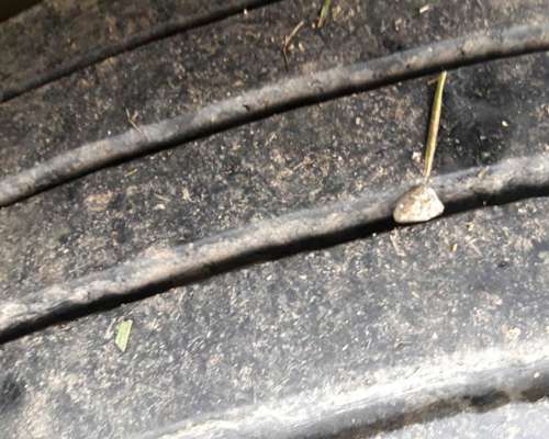 Cursor 330 Tractor año 2011 con 876.000 KM. Climatic. - Agroads