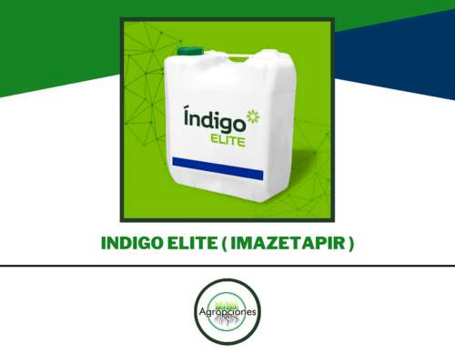 Herbicida Indigo Elite - Imazetapir 4,5% ME - RED Surcos - Agroads