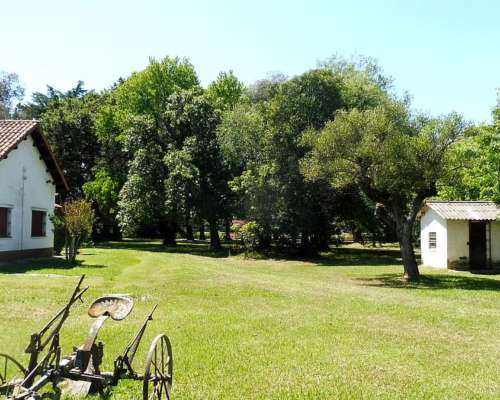 Lima, Zarate, G.b.a. Zona Norte, Argentina - Agroads