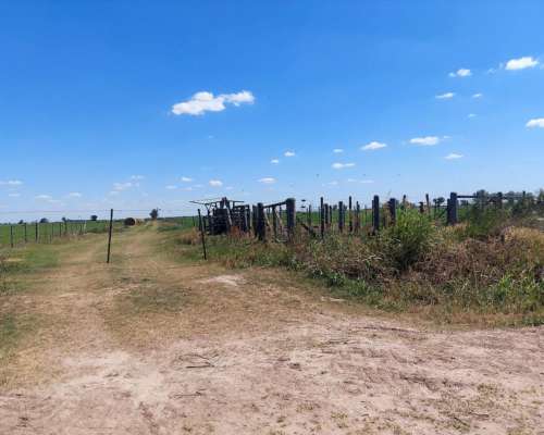 Vendo 60 Has Zona Raquel y Humberto - u$s 4.500 / ha - Agroads