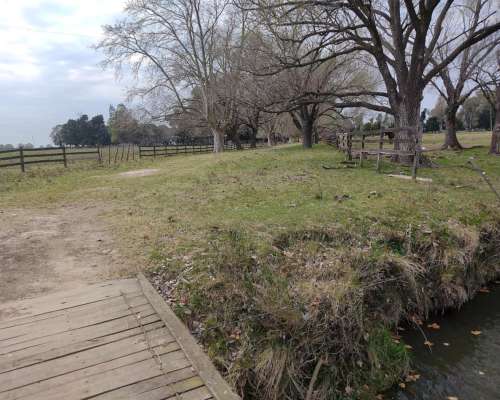 Espectacular Campo en Lima - u$s 8.350 / ha - Agroads