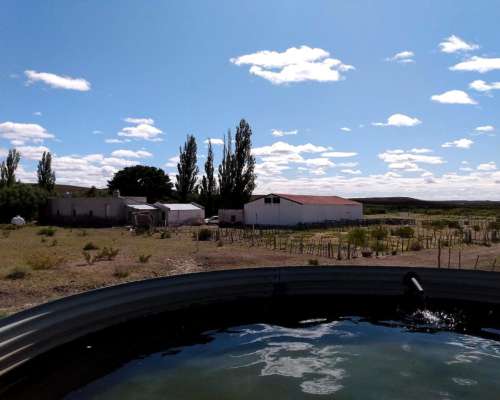 Arroyo la Ventana, Valcheta, Rio Negro, Argentina - Agroads