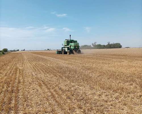 Cosech J Deere año 1992 Modelo 1075 a 1992-plataf de 18 Pies - Agroads